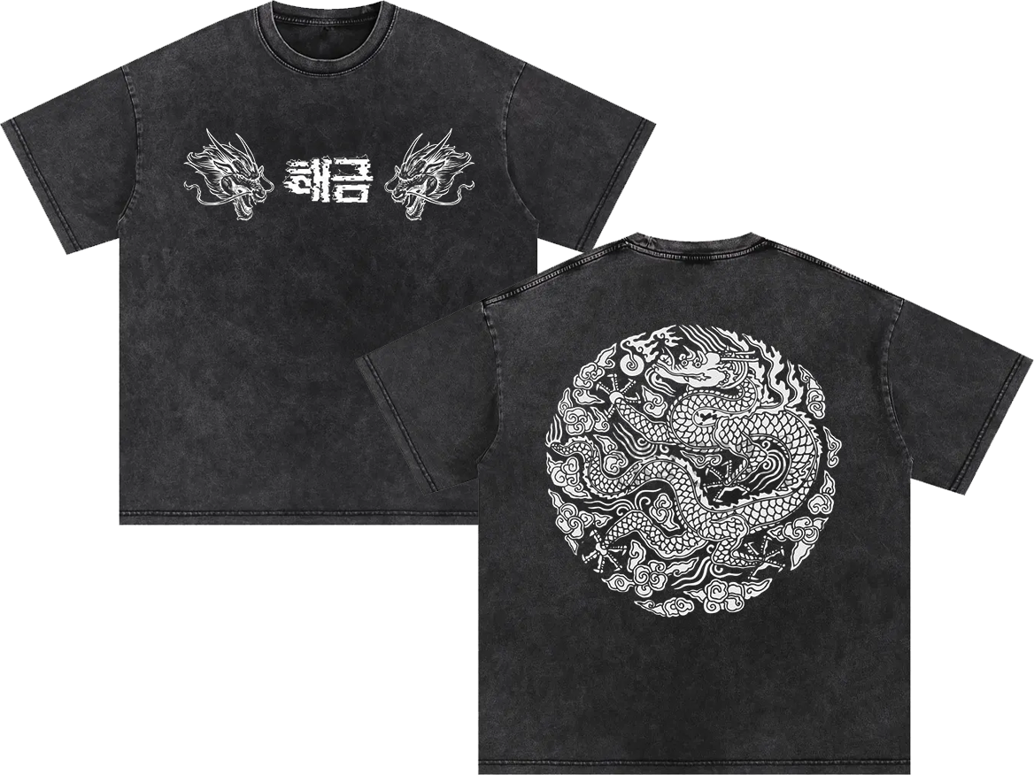 Haegeum T-Shirts – Beyond The Shirt